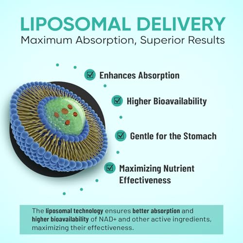 premium liposomal vitamin absorption