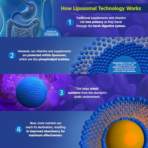 premium liposomal vitamin c formula