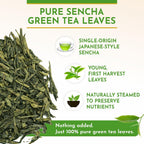 premium loose leaf green tea