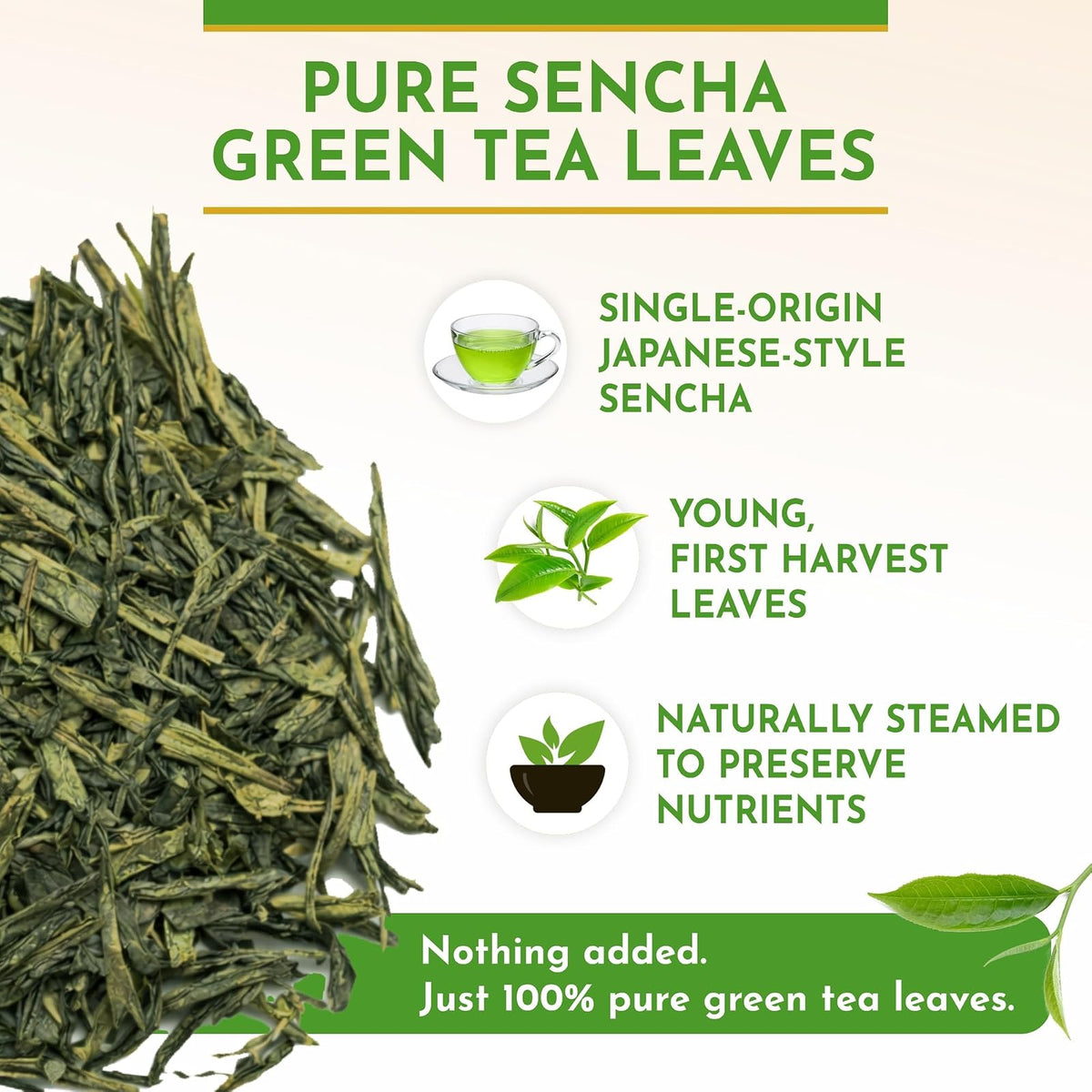 premium loose leaf green tea