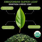 premium loose leaf guayusa
