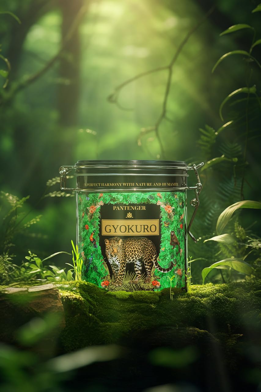 premium loose leaf gyokuro tea