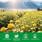 Premium loose leaf herbal infusion