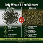 premium loose leaf jiaogulan tea