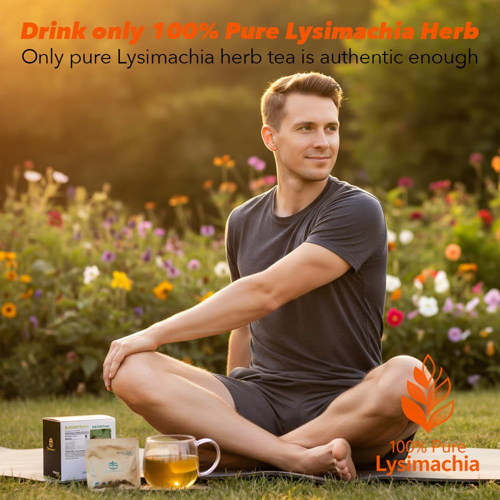 premium Lysimachia tea bags for brewing