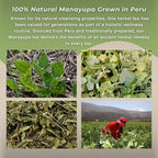 premium Manayupa for holistic health