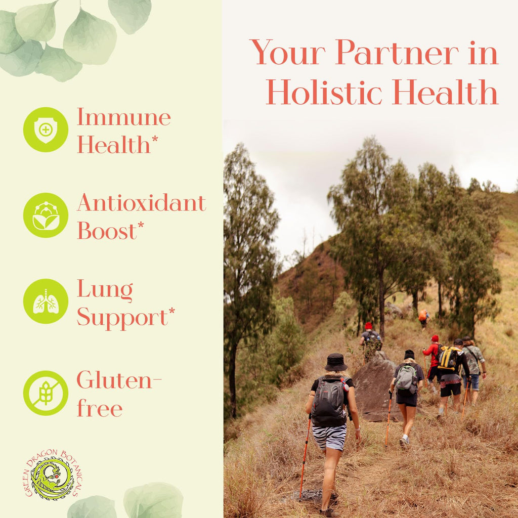 Premium mango leaf extract supplements
