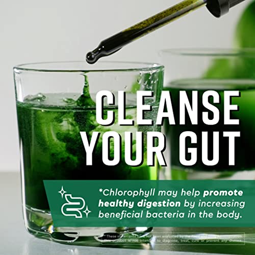premium matcha liquid drops for vitality