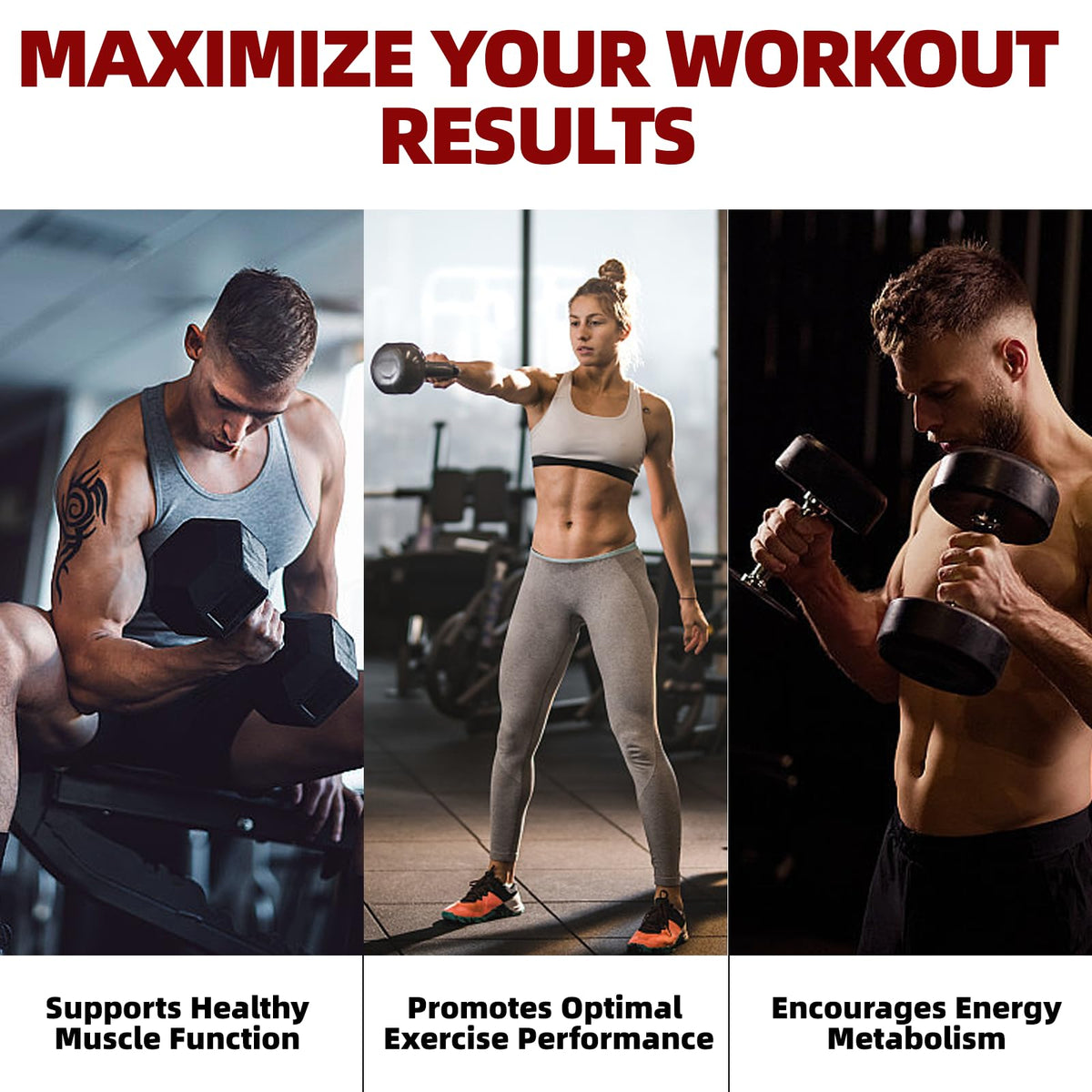 premium micronized creatine formula