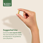 premium milk thistle antioxidant formula