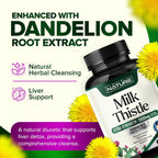 premium milk thistle extract benefits