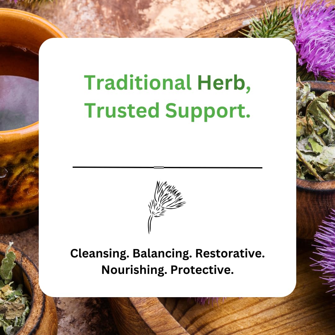 premium milk thistle extract formula