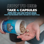 premium milk thistle for wellness