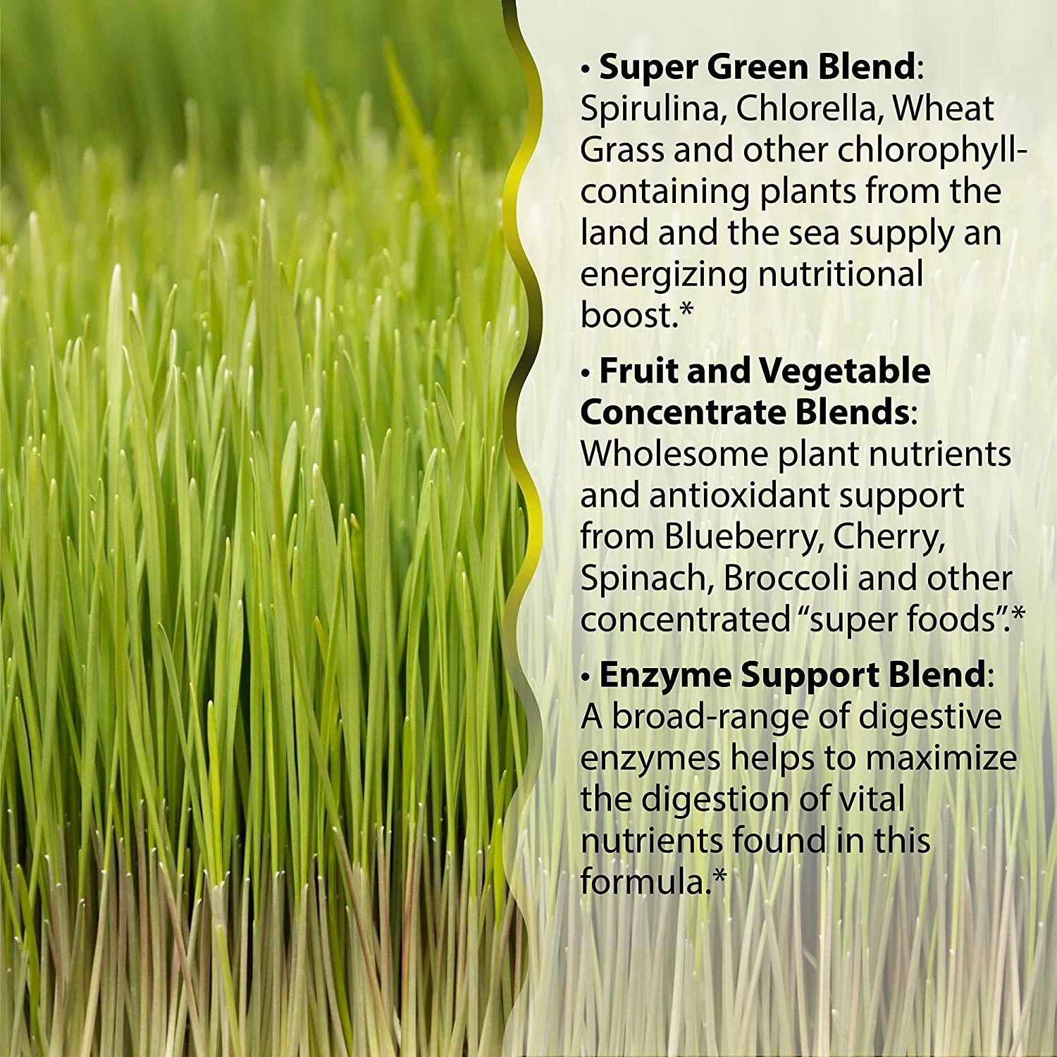 premium mineral supplements for health