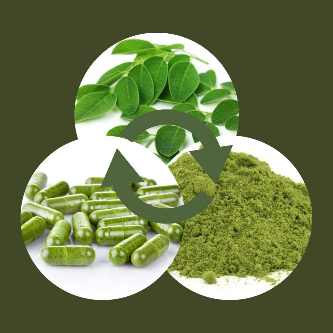 premium moringa capsules for detox