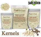 premium moringa oleifera seeds