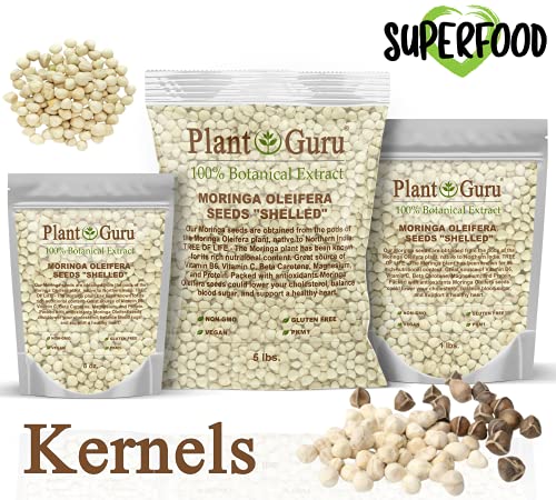 premium moringa oleifera seeds