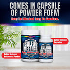 premium msm for overall wellness