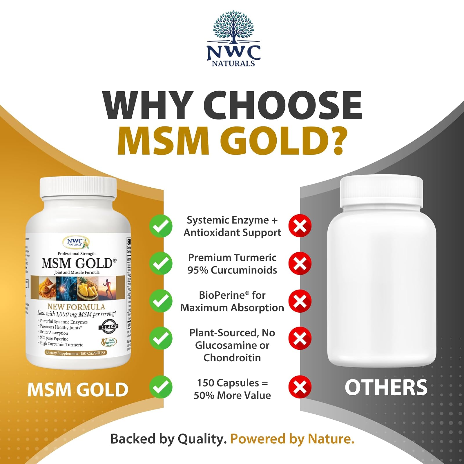 premium MSM for overall wellness