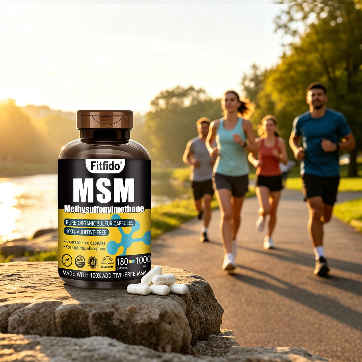 premium msm for overall wellness