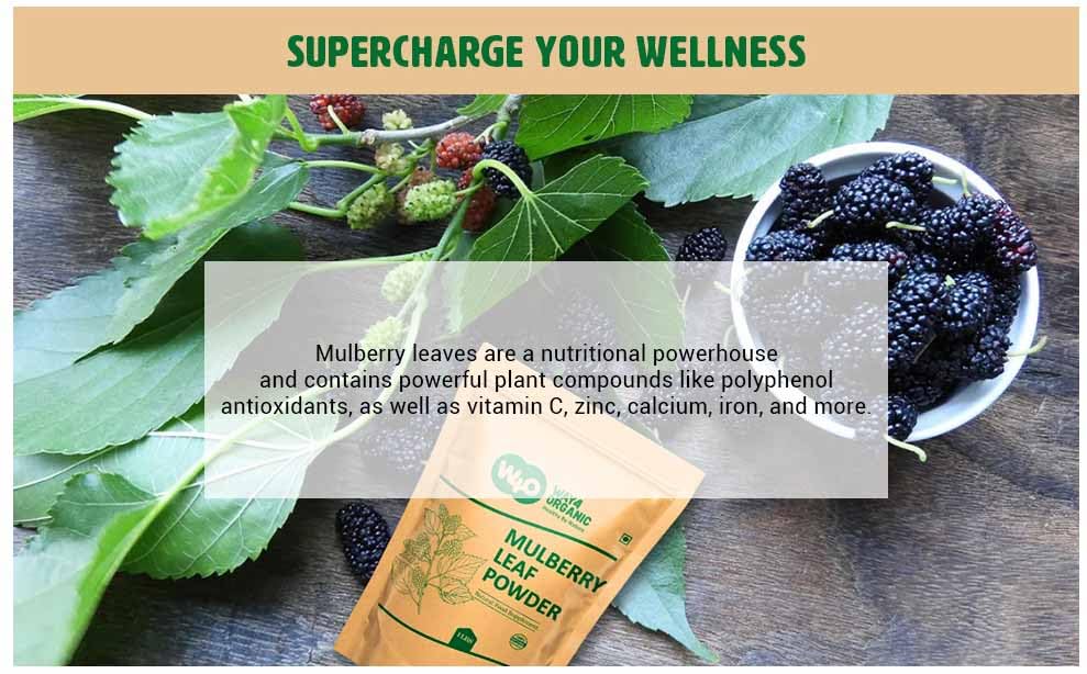 premium mulberry leaf powder for energy