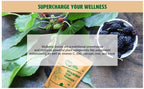 premium mulberry leaf powder for energy