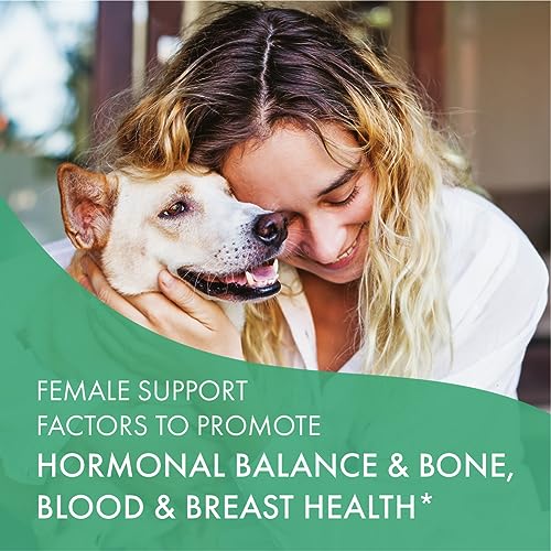 premium multivitamin for active lifestyles
