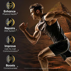 premium multivitamin for men