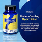 premium multivitamins for vitality