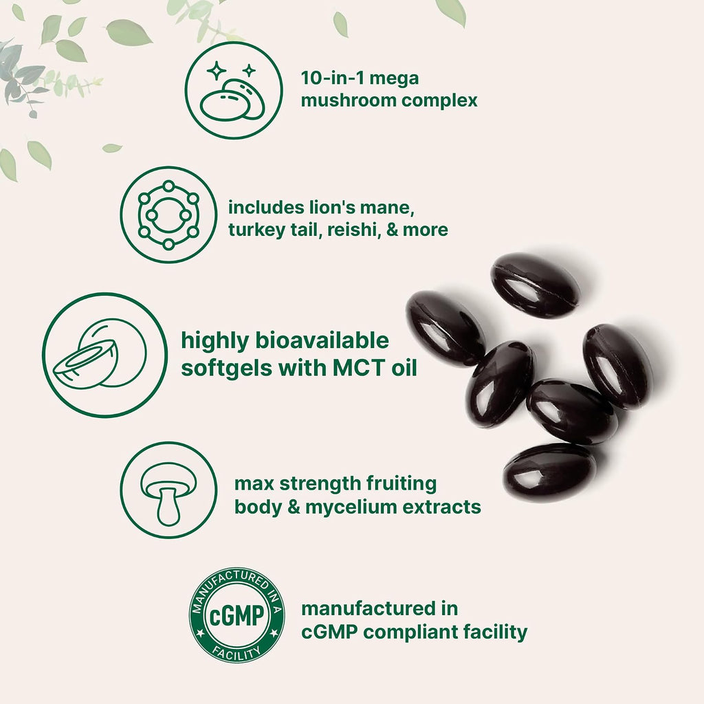premium mushroom blends for energy