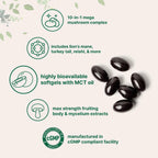 premium mushroom blends for energy