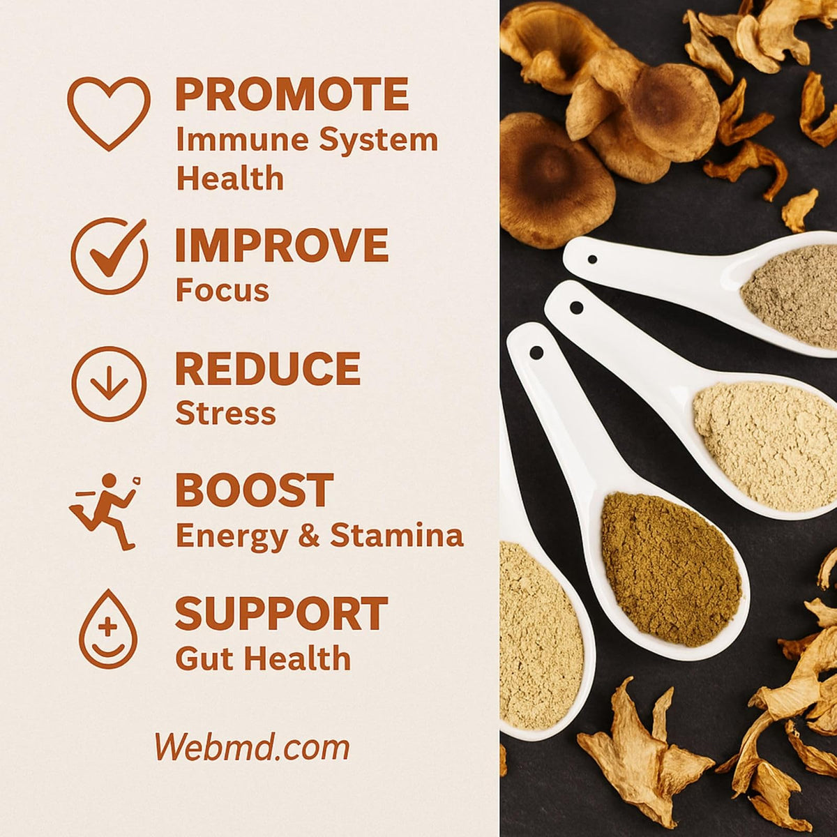 premium mushroom blends for holistic health