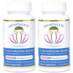 premium mushroom blends for wellness