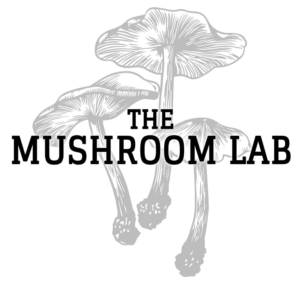 Premium mushroom culture for growing
