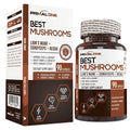 Premium mushroom extract for energy