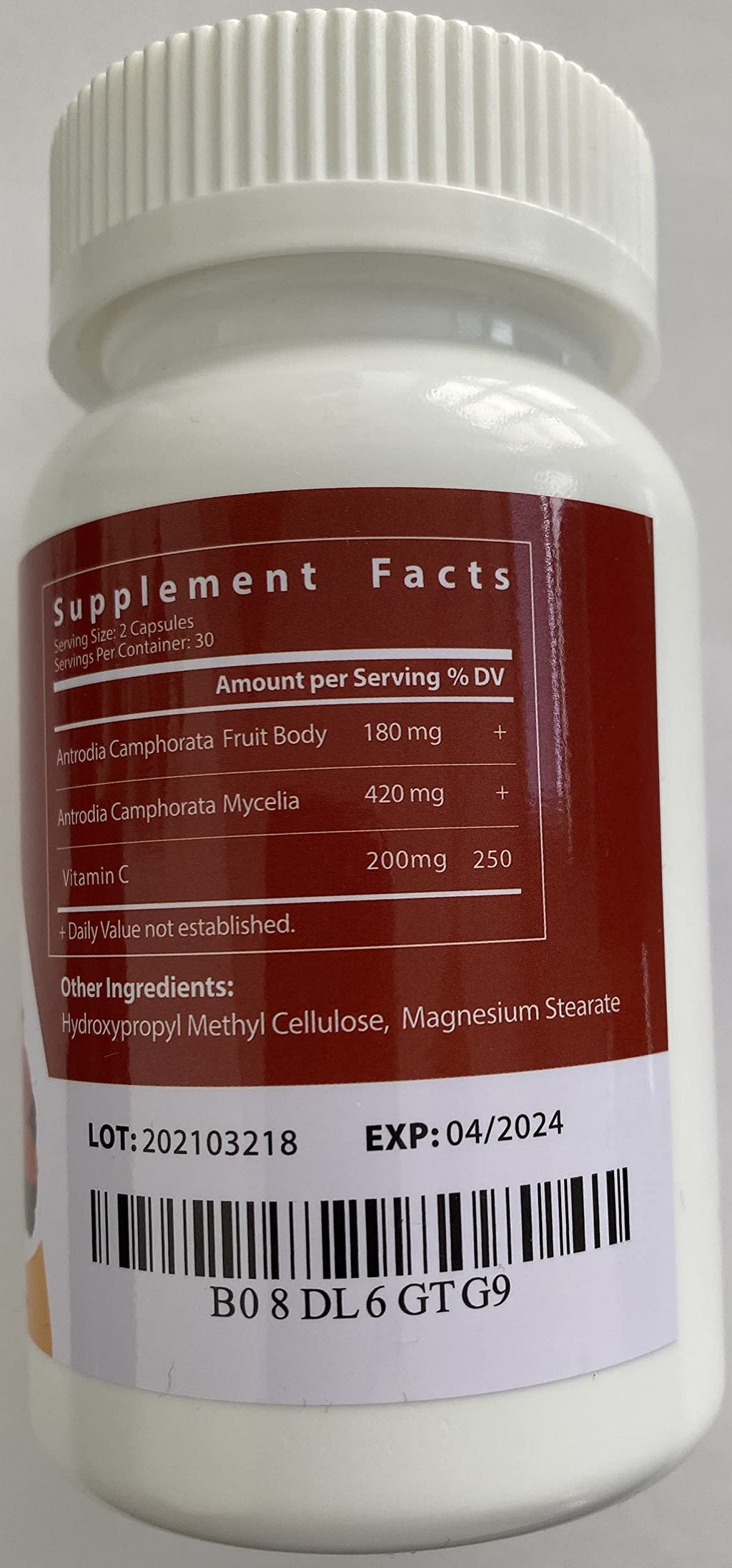 premium mushroom extract for wellness