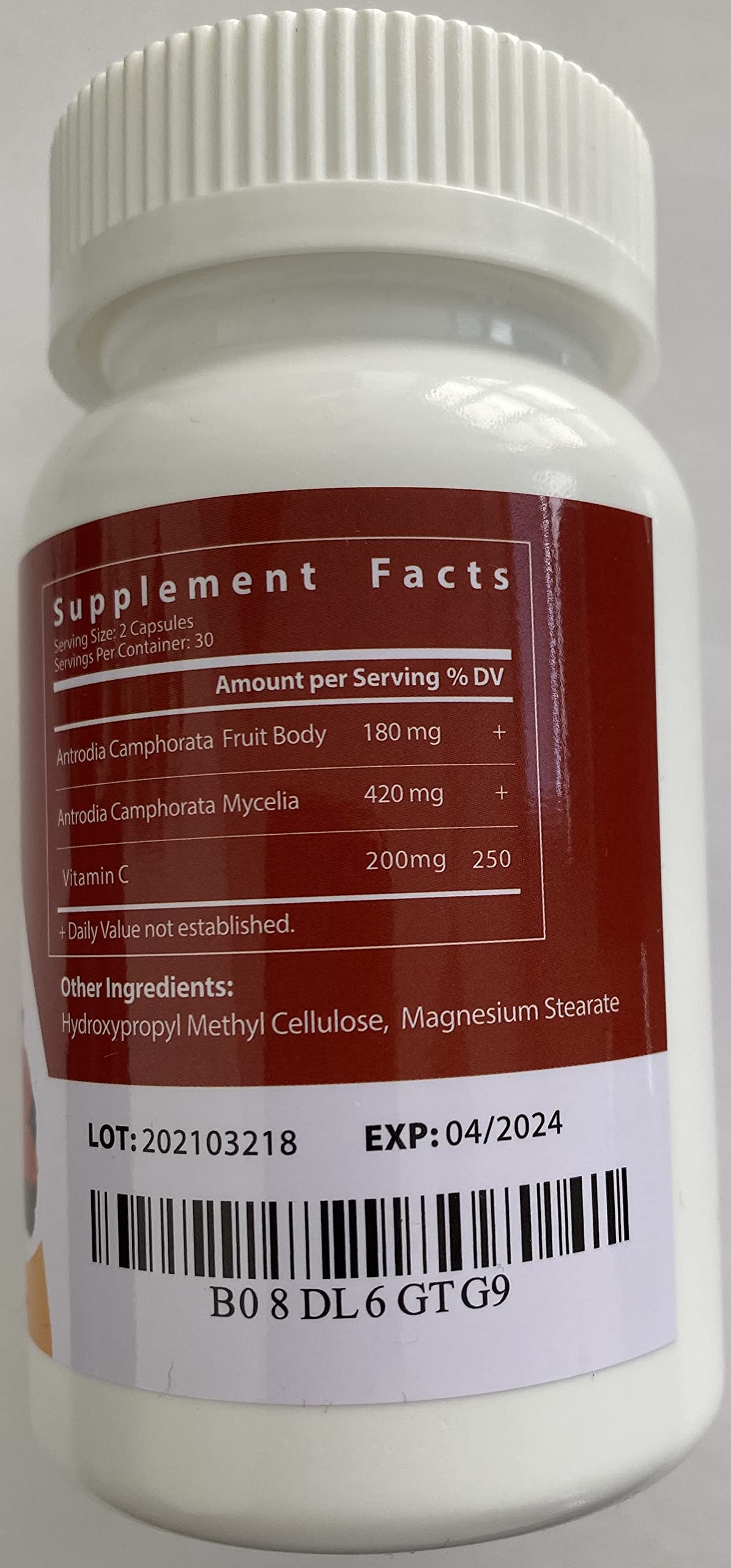 premium mushroom extract for wellness