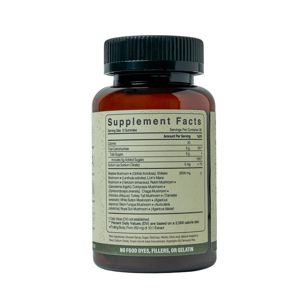 Premium mushroom gummies for daily wellness