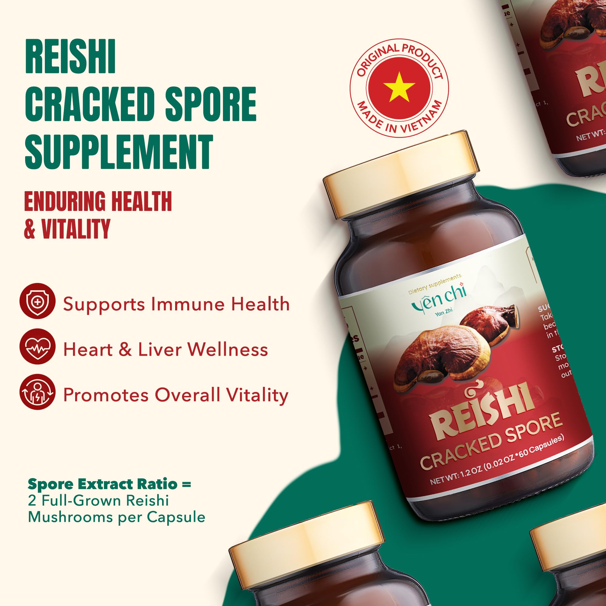 Premium mushroom pills for memory support
