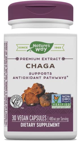 Premium mushroom supplement for antioxidants