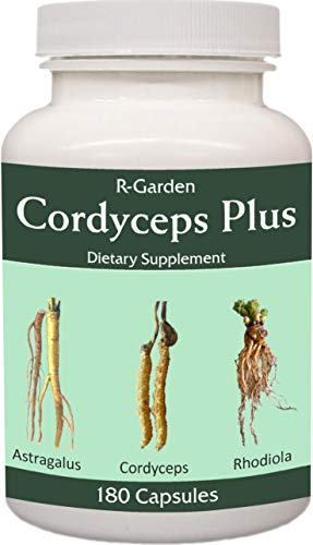 premium mushroom supplement for vitality