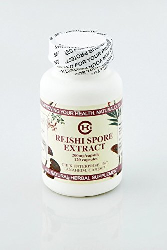 Premium mushroom supplement for wellness
