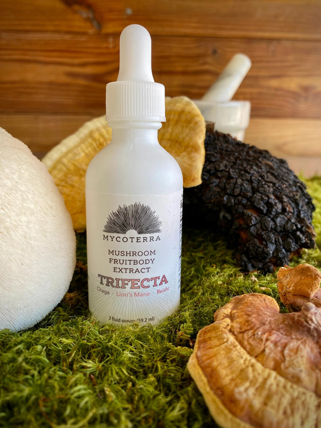 premium mushroom supplement for wellness