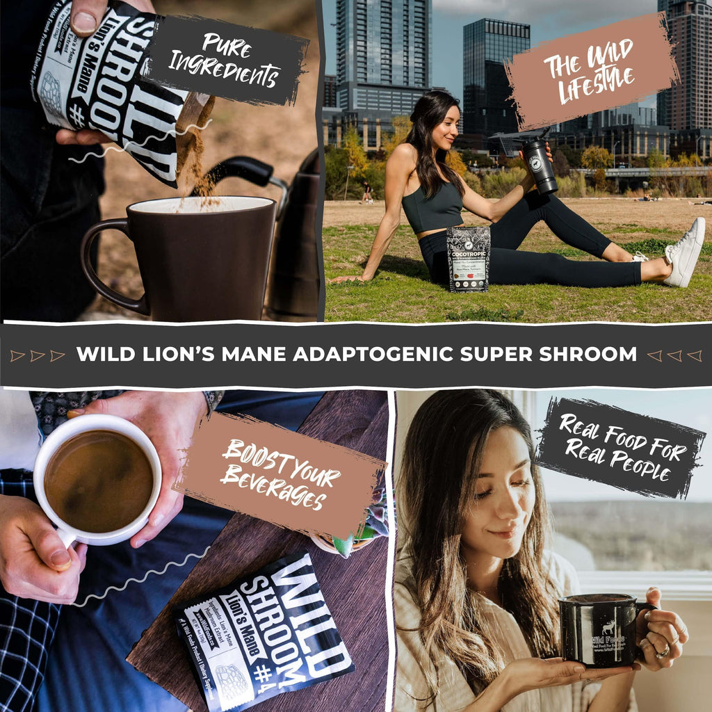 premium mushrooms for cognitive support