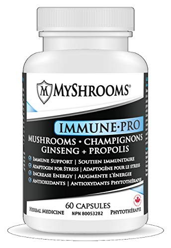 premium mushrooms for health benefits
