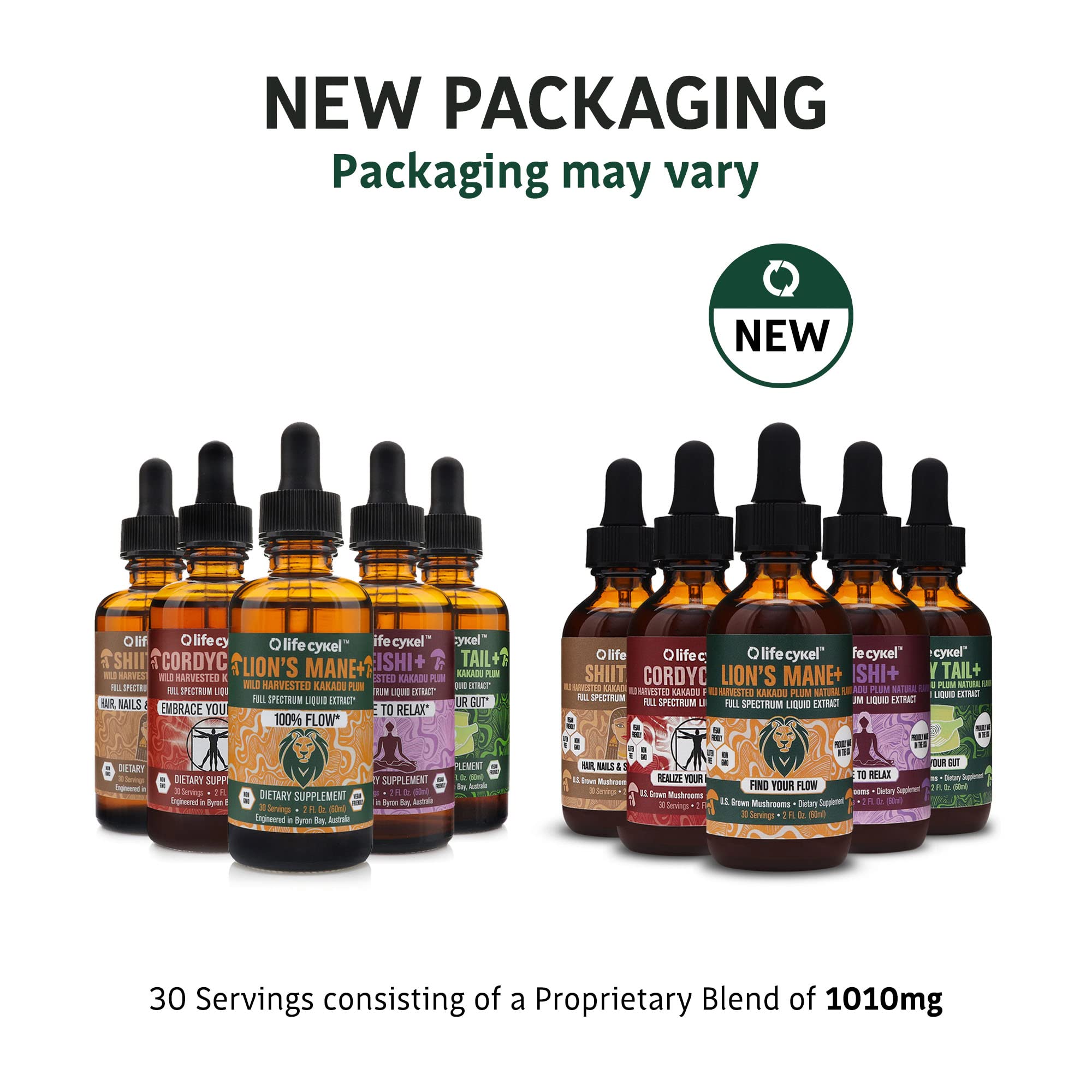 premium mushrooms for health enthusiasts