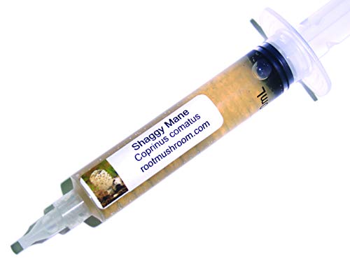 premium mushrooms for home cultivation