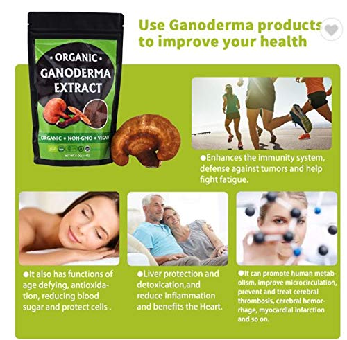 Premium mushrooms for natural energy