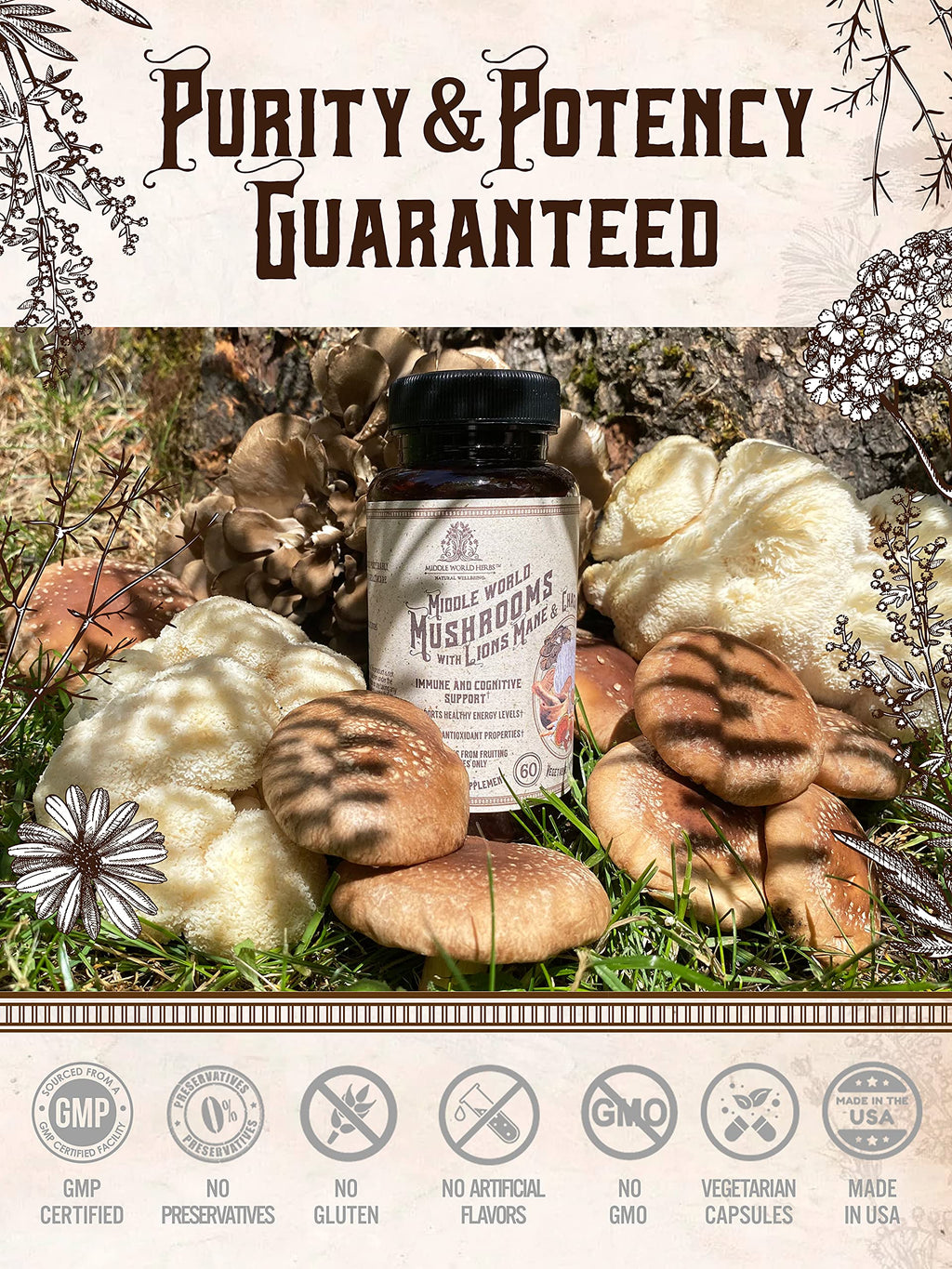 Premium mushrooms for overall wellness