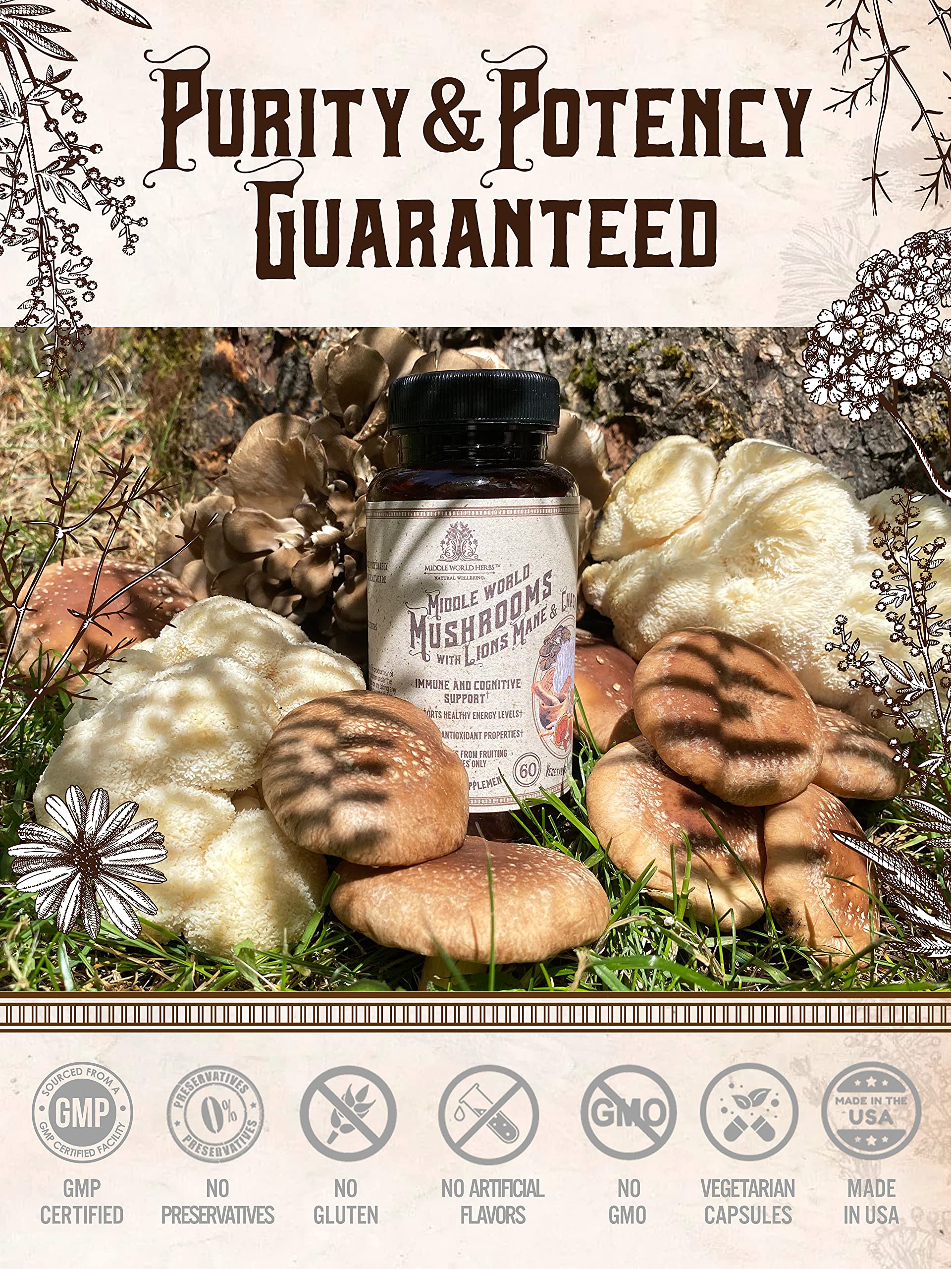 Premium mushrooms for overall wellness